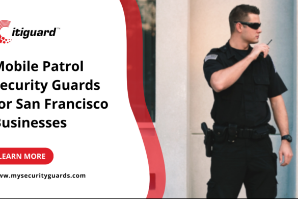 What is Vehicle Patrol Security & What Does Security Officer Do?