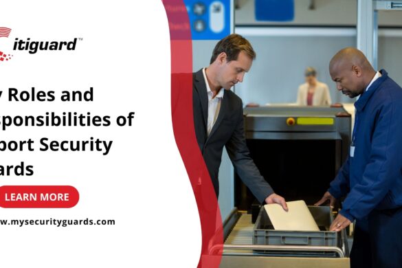 How Airport Security Services Maintain a Safe Environment for Everyone ...
