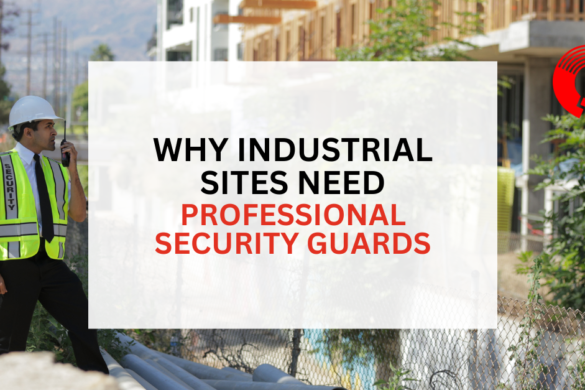 How Much Does 24-Hour Security Cost? A Clear Guide to Pricing and ...